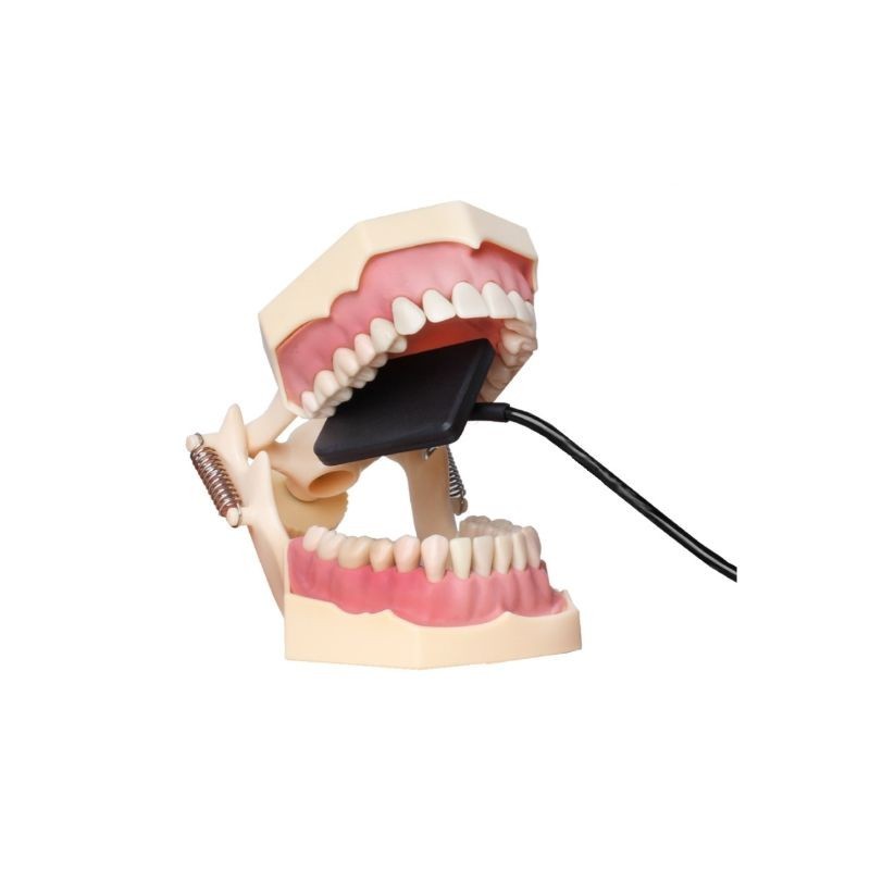 SENSOR DIGITAL DE RAYOS X HDR 500